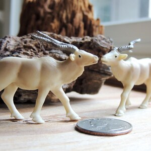 MINIATURE WHITE ANTELOPE Addax Animal Figurines Figures Fairy Garden ...
