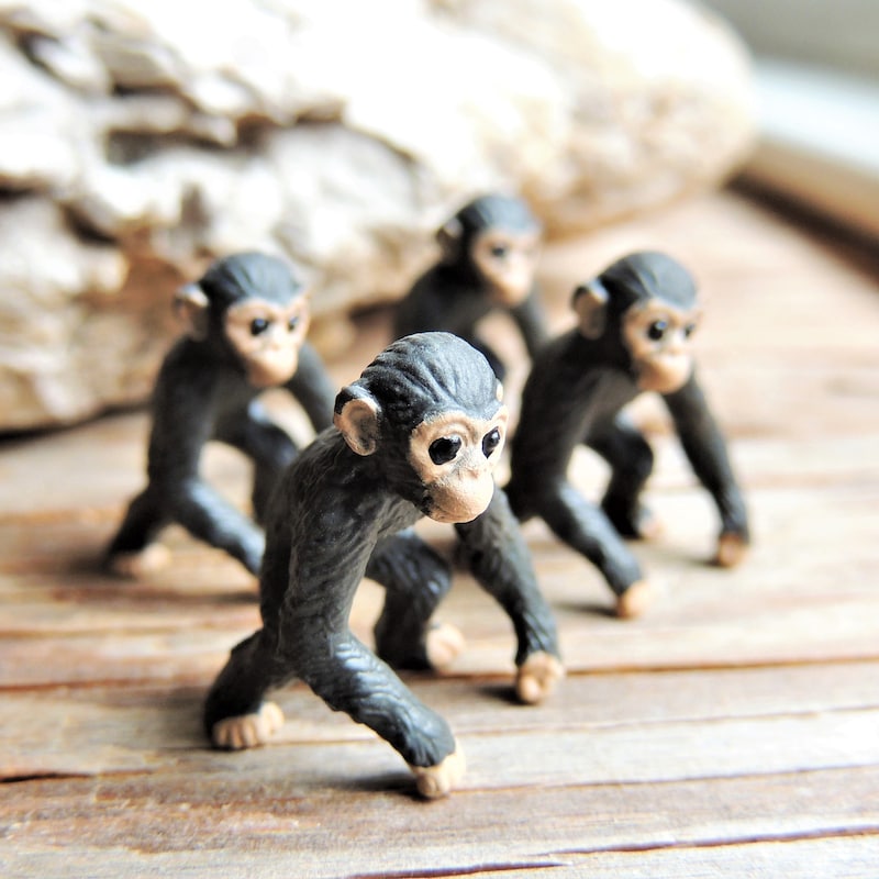 Miniature Monkey - Etsy