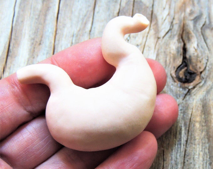 Human Guts Intestines and Stomach for 1:12 Scale Dioramas, Horror ...