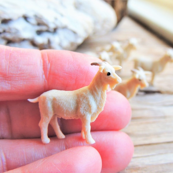 Miniature Goat - Etsy