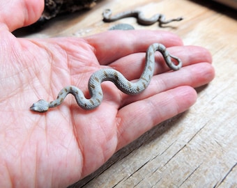 MINIATURE SNAKE Animal Figures Figurines for Fairy Gardens Dollhouse ...