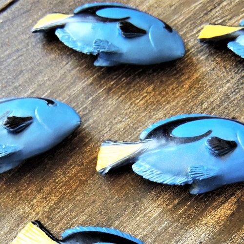 MINIATURE BLUE TANG Fish Animals Figure Figurines Fairy Garden - Etsy