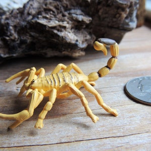 MINIATURE DEATHSTALKER SCORPION Animal Figurine Figures Fairy Garden ...