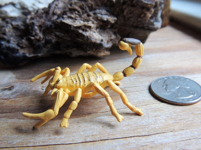 MINIATURE DEATHSTALKER SCORPION Animal Figurine Figures Fairy - Etsy
