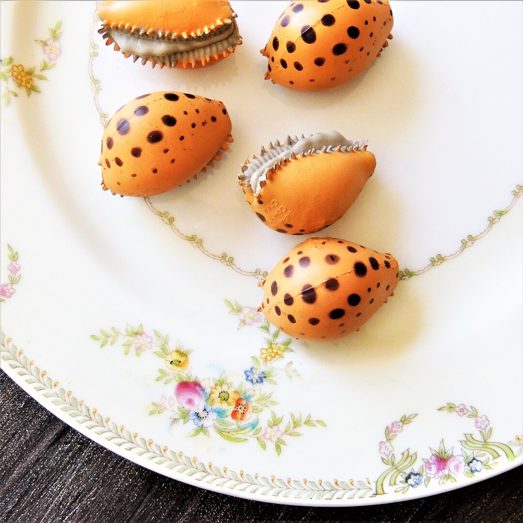 MINIATURE COWRY Cowrie Sea Snail Figures Figurines Diorama - Etsy