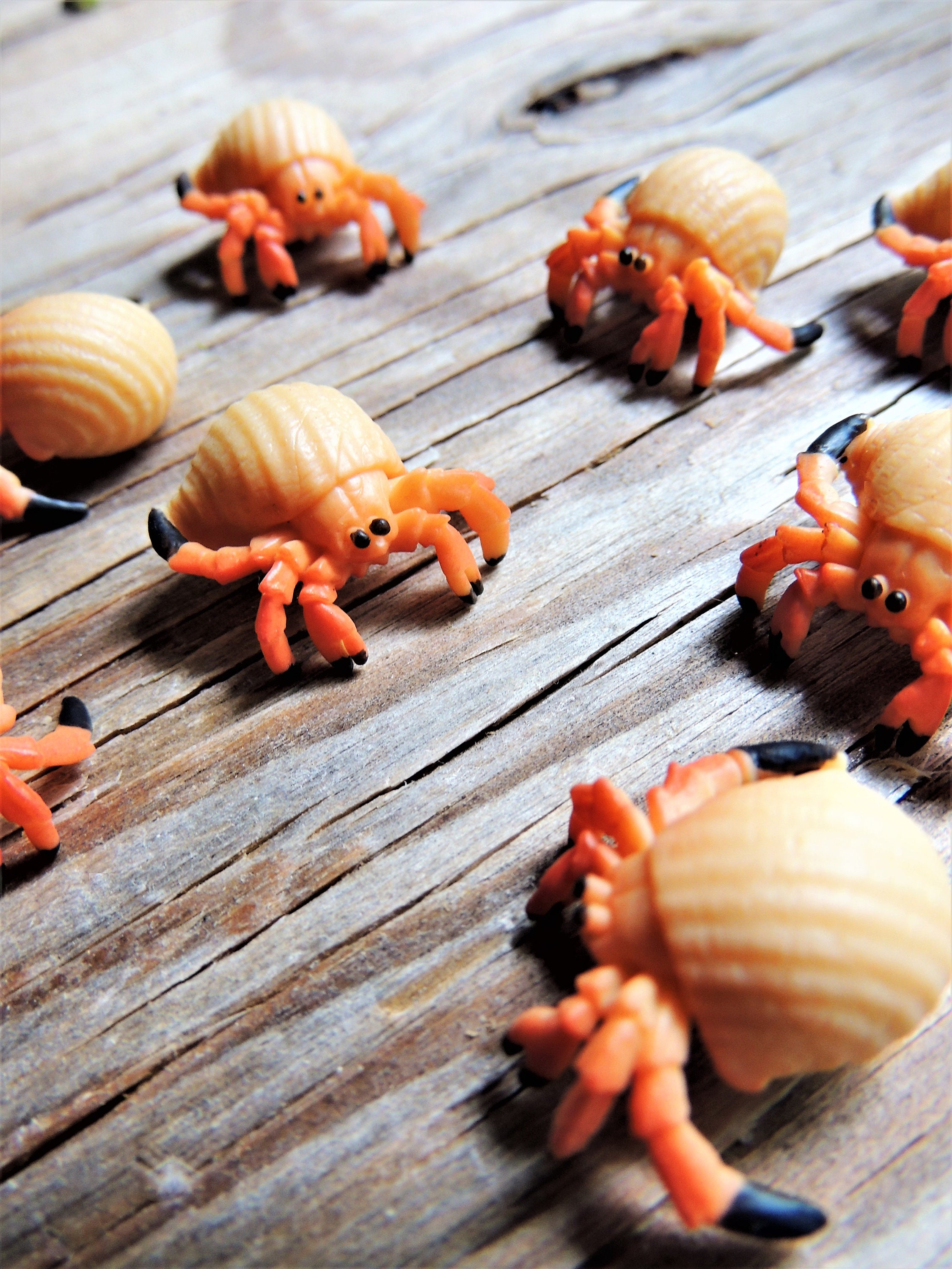 Set of Tiny MINIATURE Hermit Crab Sea Life Animal Figurine Mini Figure ...