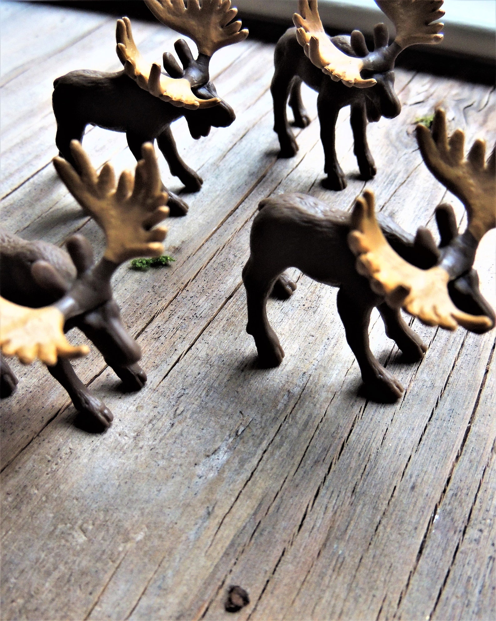 MINIATURES MOOSE Animal Figures Figurines Dollhouse Fairy | Etsy