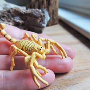 MINIATURE DEATHSTALKER SCORPION Animal Figurine Figures Fairy Garden ...
