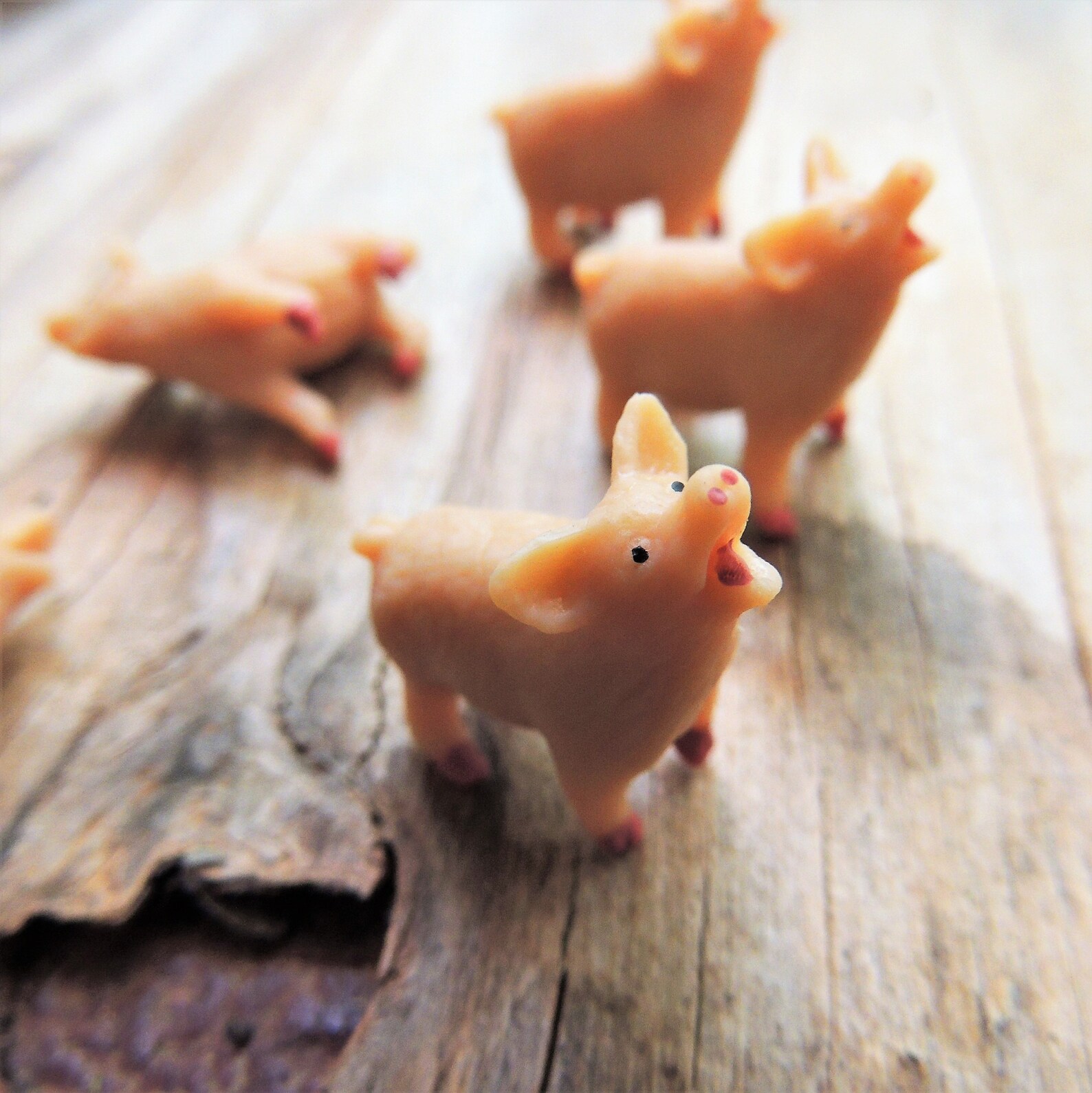 MINIATURE PIGS Mini Farm Animals Figures Figurine Pig Fairy Garden ...