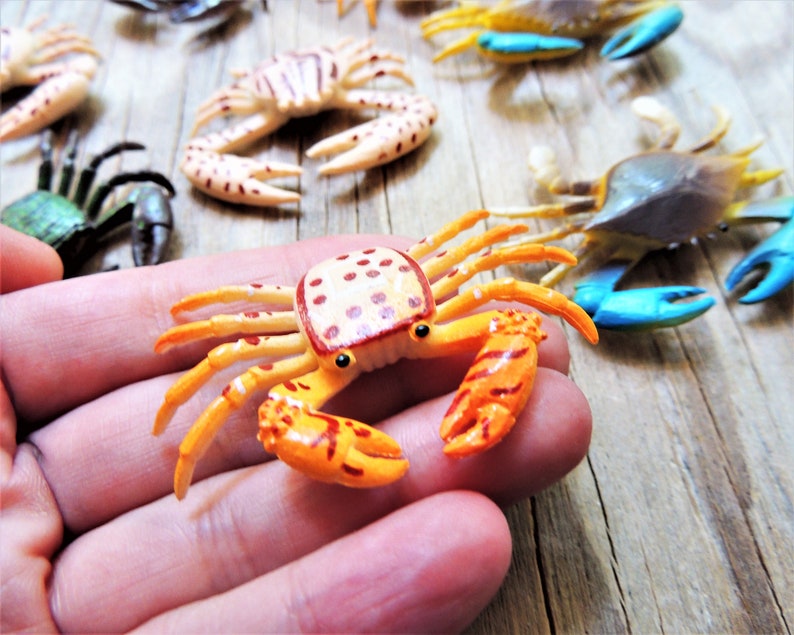 MINIATURE CRAB Plastic Animal Figure Figurines Dollhouse | Etsy