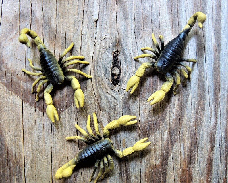 MINIATURE SCORPION Animals Figures Figurines Dollhouse Fairy | Etsy