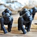 MINIATURE GORILLA Animals Figurine Figure Fairy Garden Dollhouse ...
