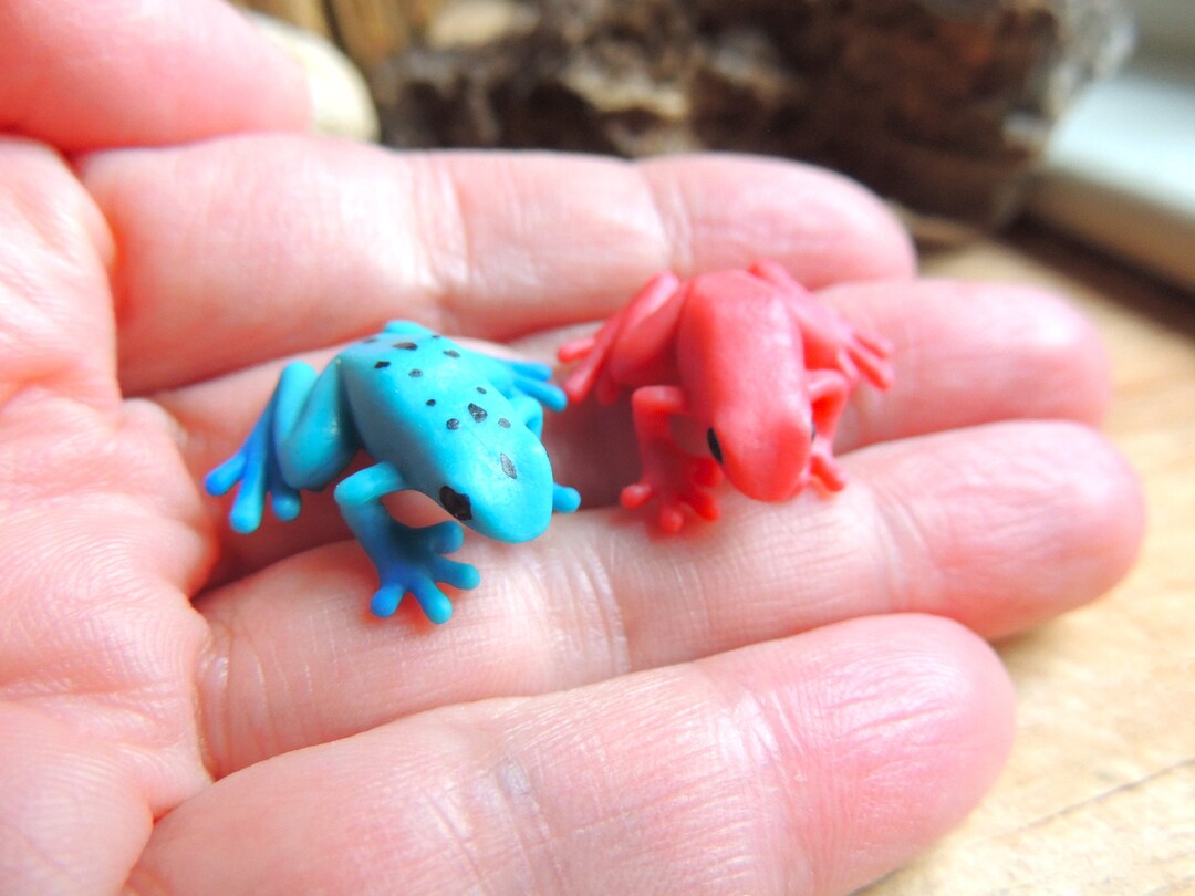 Cute Tiny MINIATURE Poison Dart Frog Animals Figurine Figures Dollhouse ...