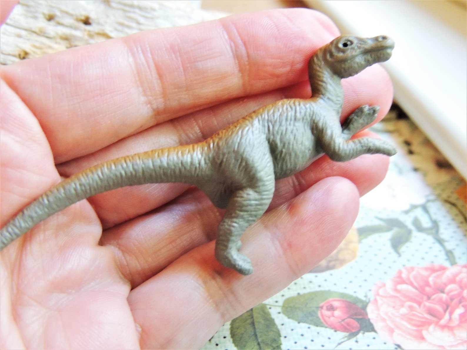 DINOSAUR MINIATURE Dino Velociraptor Figure Figurine Fairy Garden ...