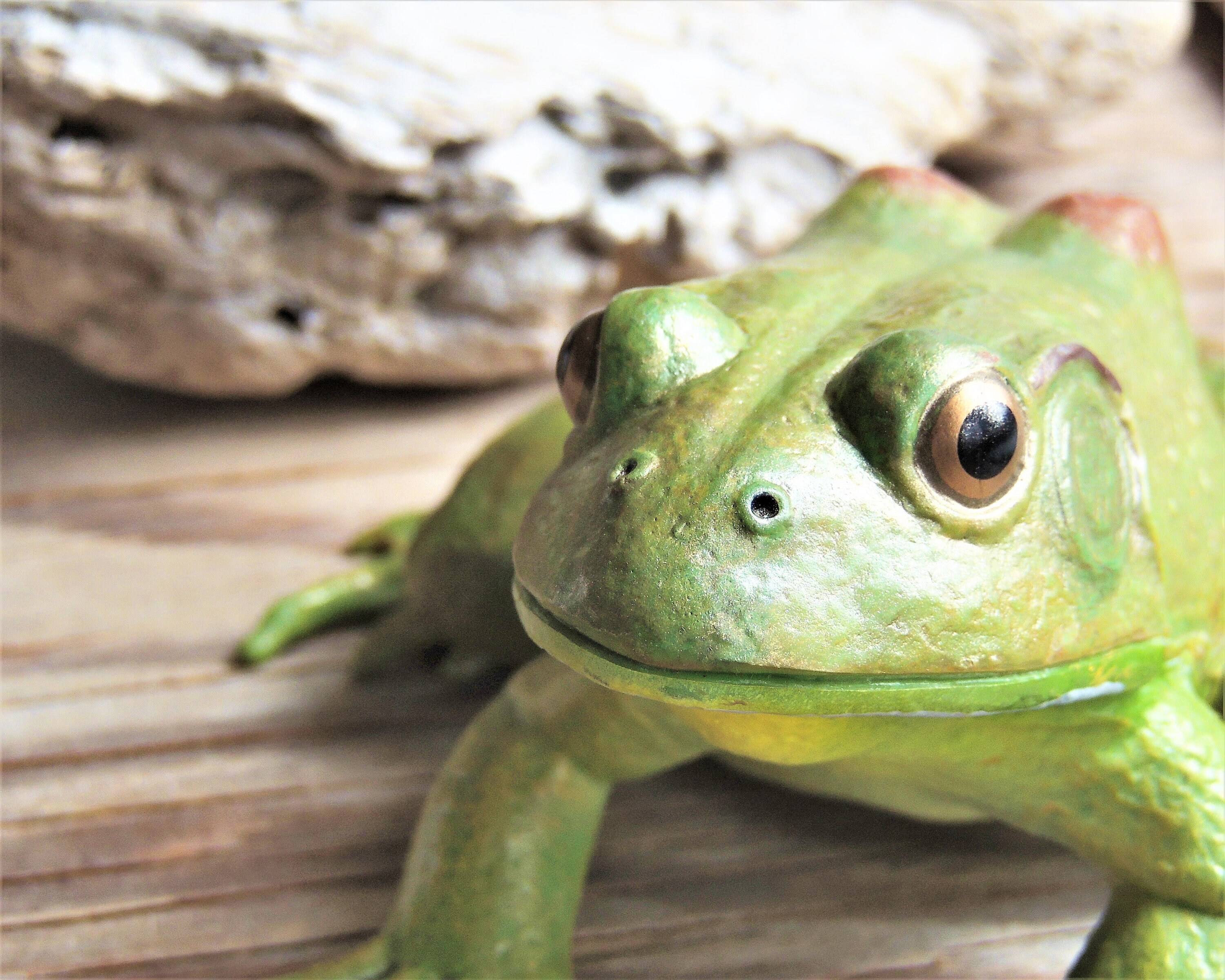 Large MINIATURE AMERICAN BULLFROG Animals Figurines Figures - Etsy
