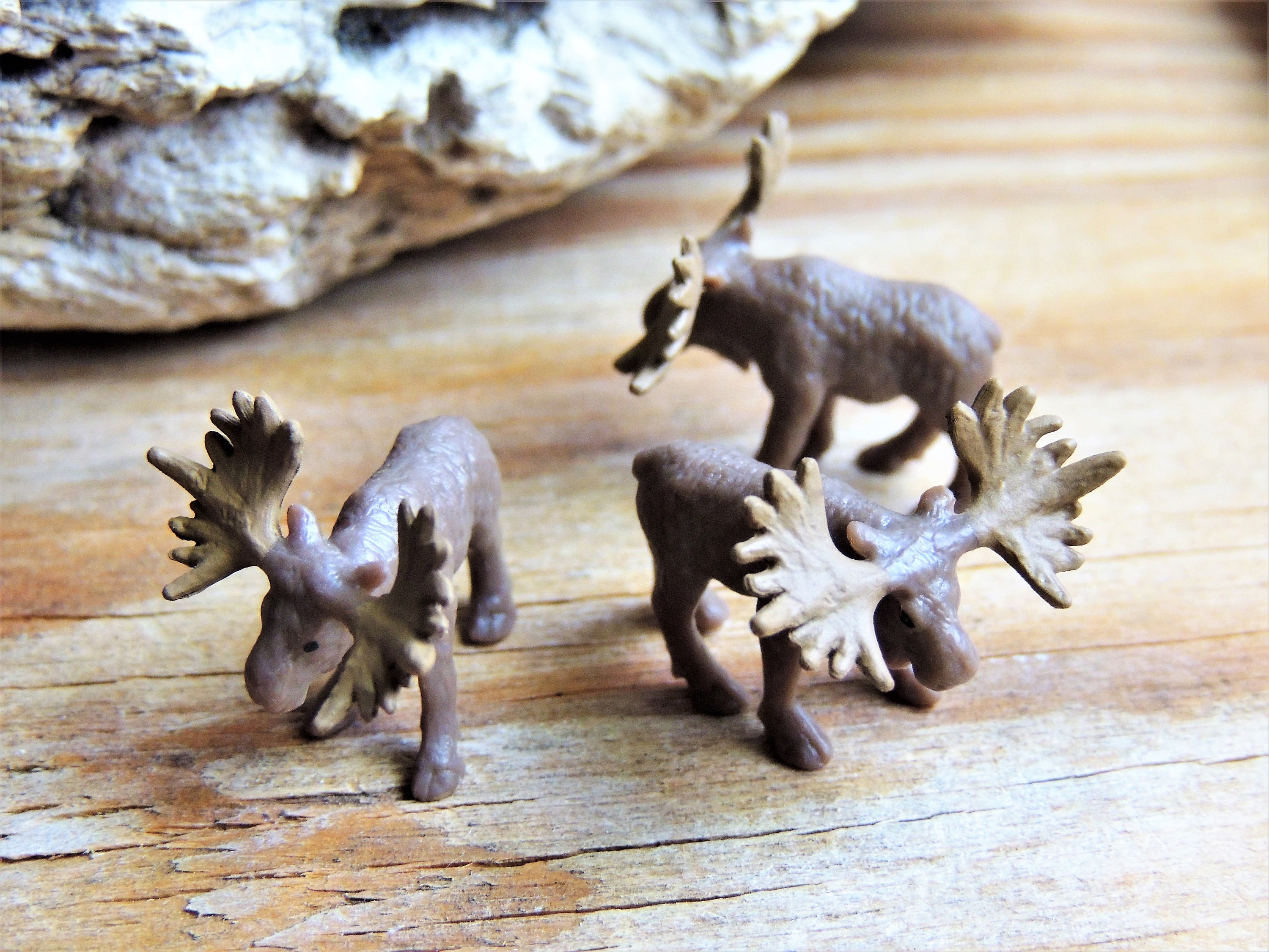 MOOSE MINIATURE Nature Animal Figurine Dollhouse Fairy Garden Diorama ...