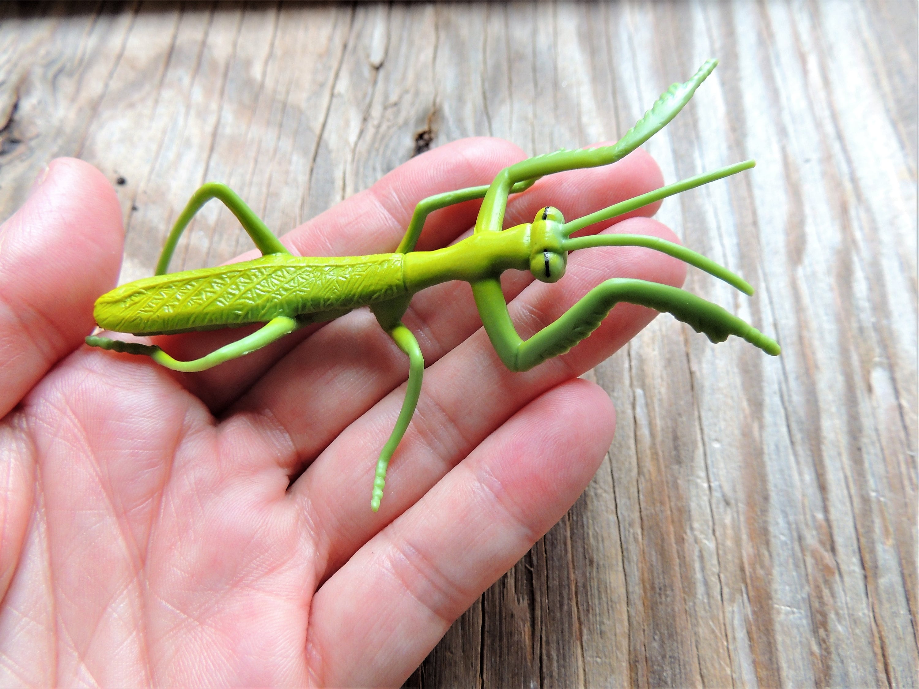 MINIATURE PRAYING MANTIS Animal Insect Figures Figurines Fairy | Etsy