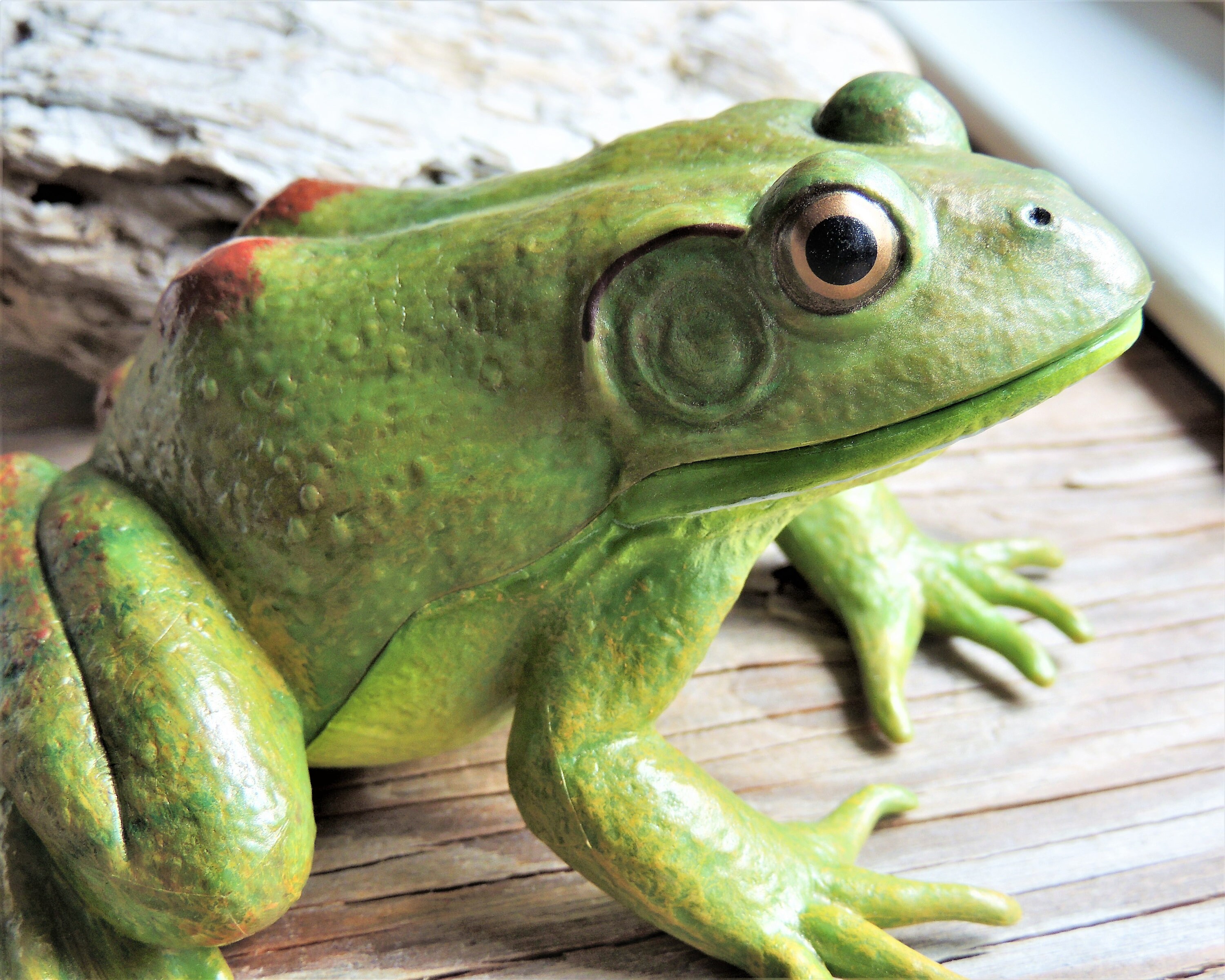 Large MINIATURE AMERICAN BULLFROG Animals Figurines Figures - Etsy