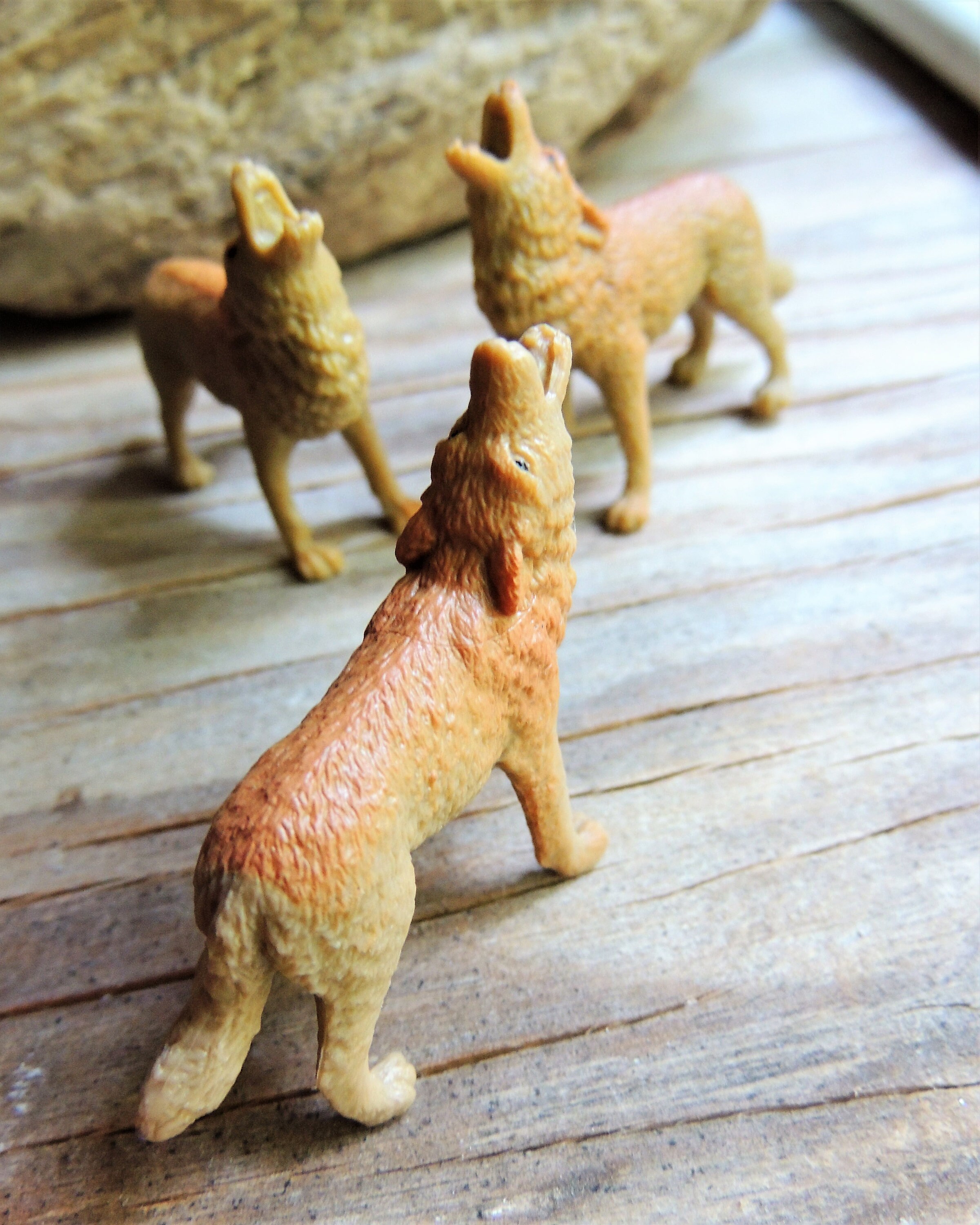 MINIATURE COYOTE Animals Figures Figurines Diorama Terrarium Fairy ...