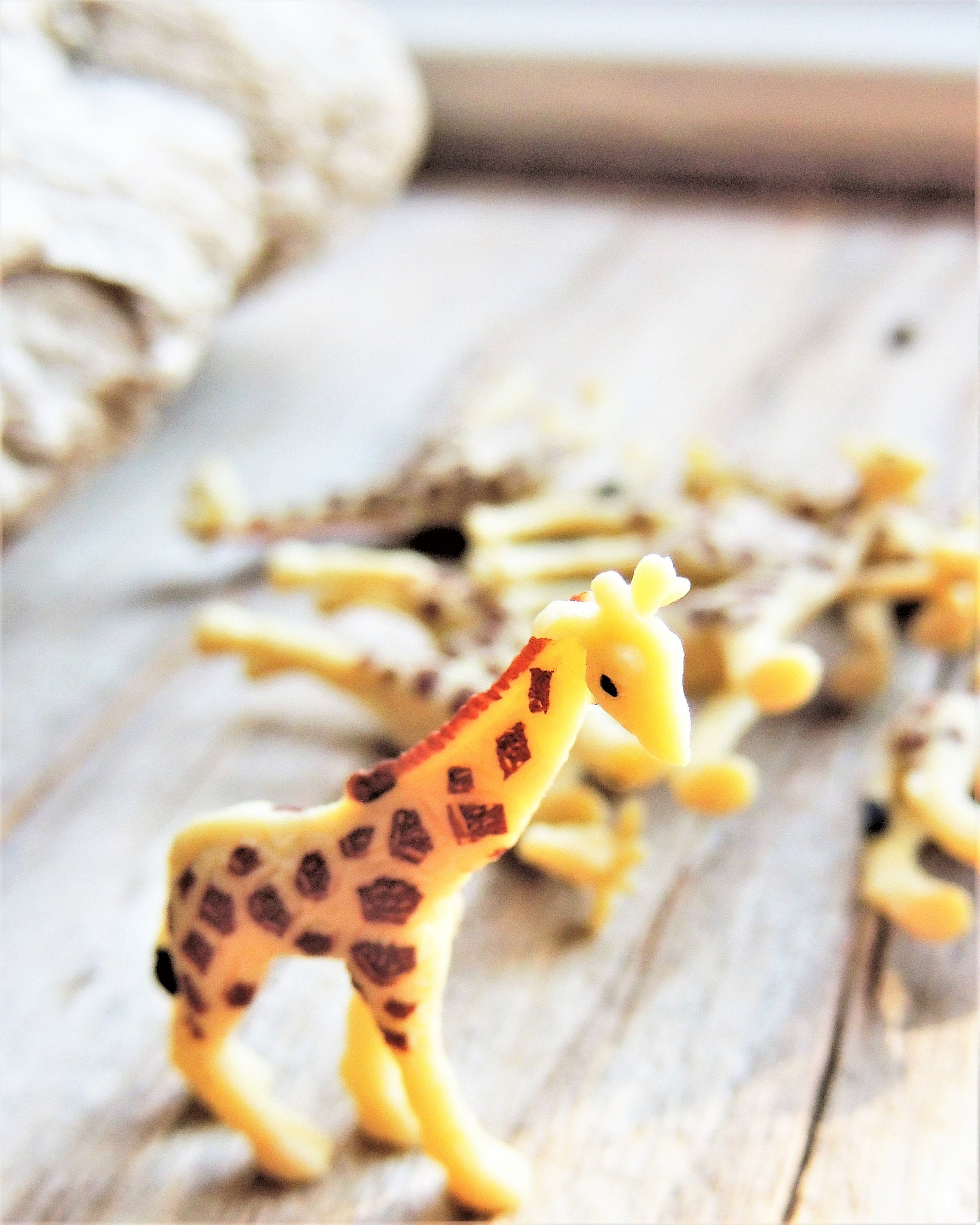 Real Mini Giraffe