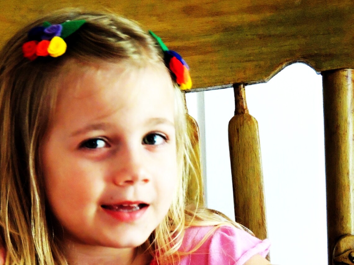 Rainbow Barrette Hair Clip Set Flower Felt Rose Rosette Teen Kids ...