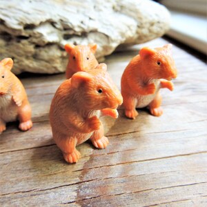 HAMSTER MINIATURE ANIMAL Figures Figurine Dollhouse Terrarium Fairy ...