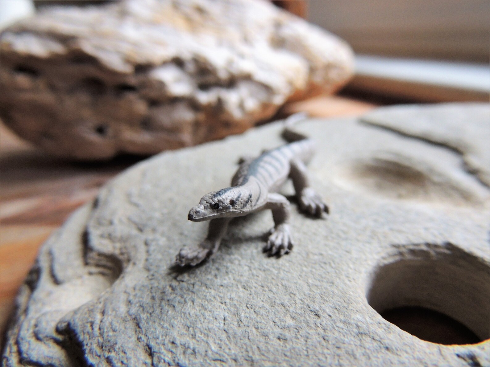 MINIATURE DESERT MONITOR Lizard Animal Figurine Fairy Garden Dollhouse ...