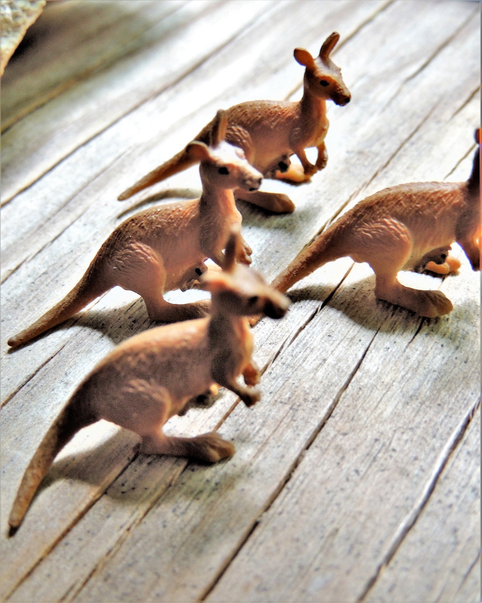 Set of MINIATURE Kangaroo Animals Figurine Figures Fairy - Etsy