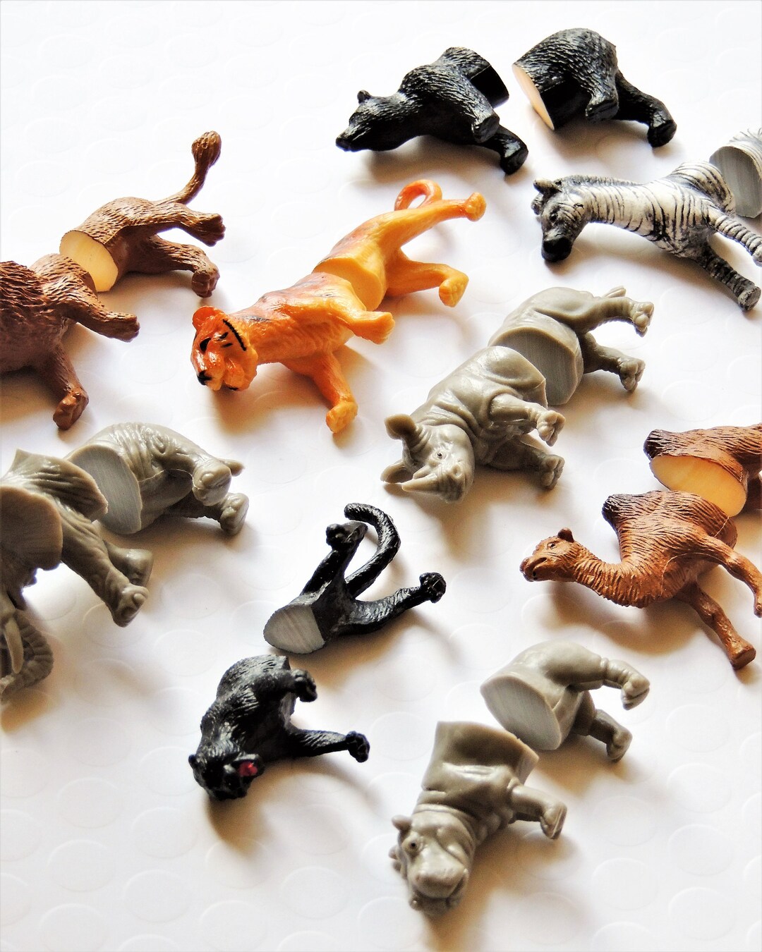 Safari PLASTIC ANIMAL HALVES Diy Plastic Animal Crafts Ideas Fridge ...