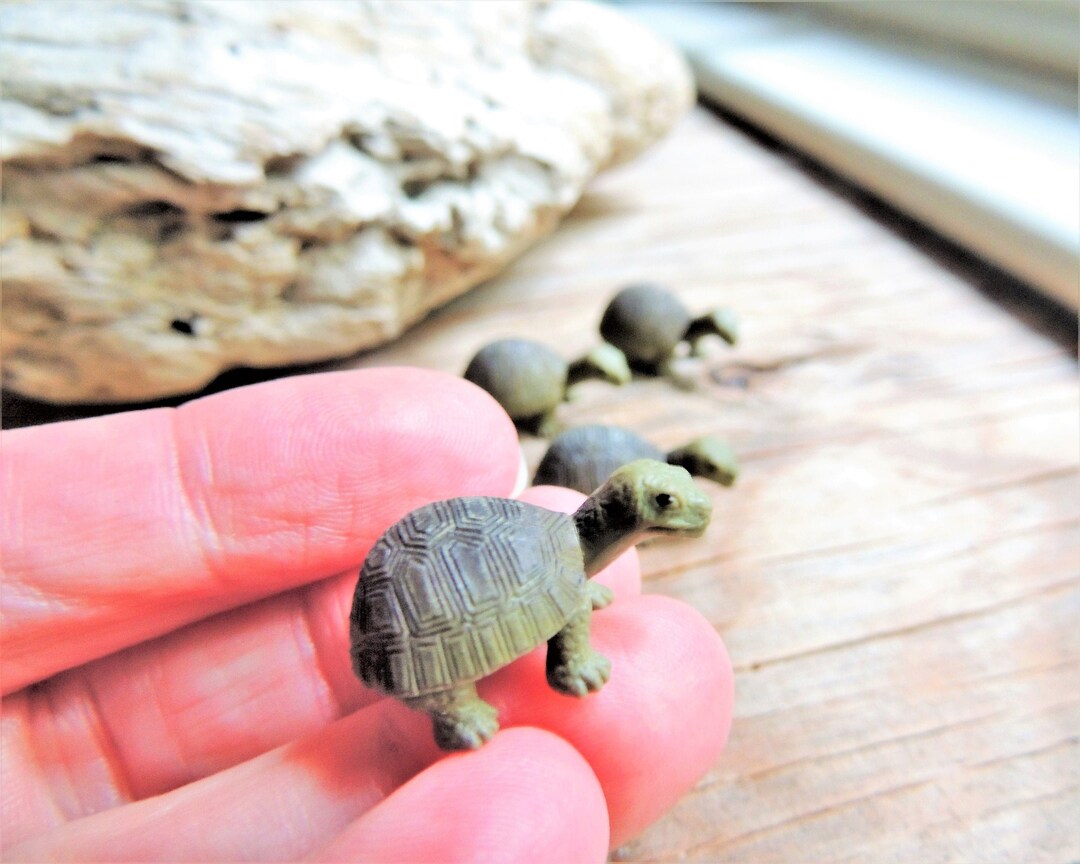 MINIATURE TORTOISE Turtle Miniature Animals Mini Tiny Soft Fairy Garden ...