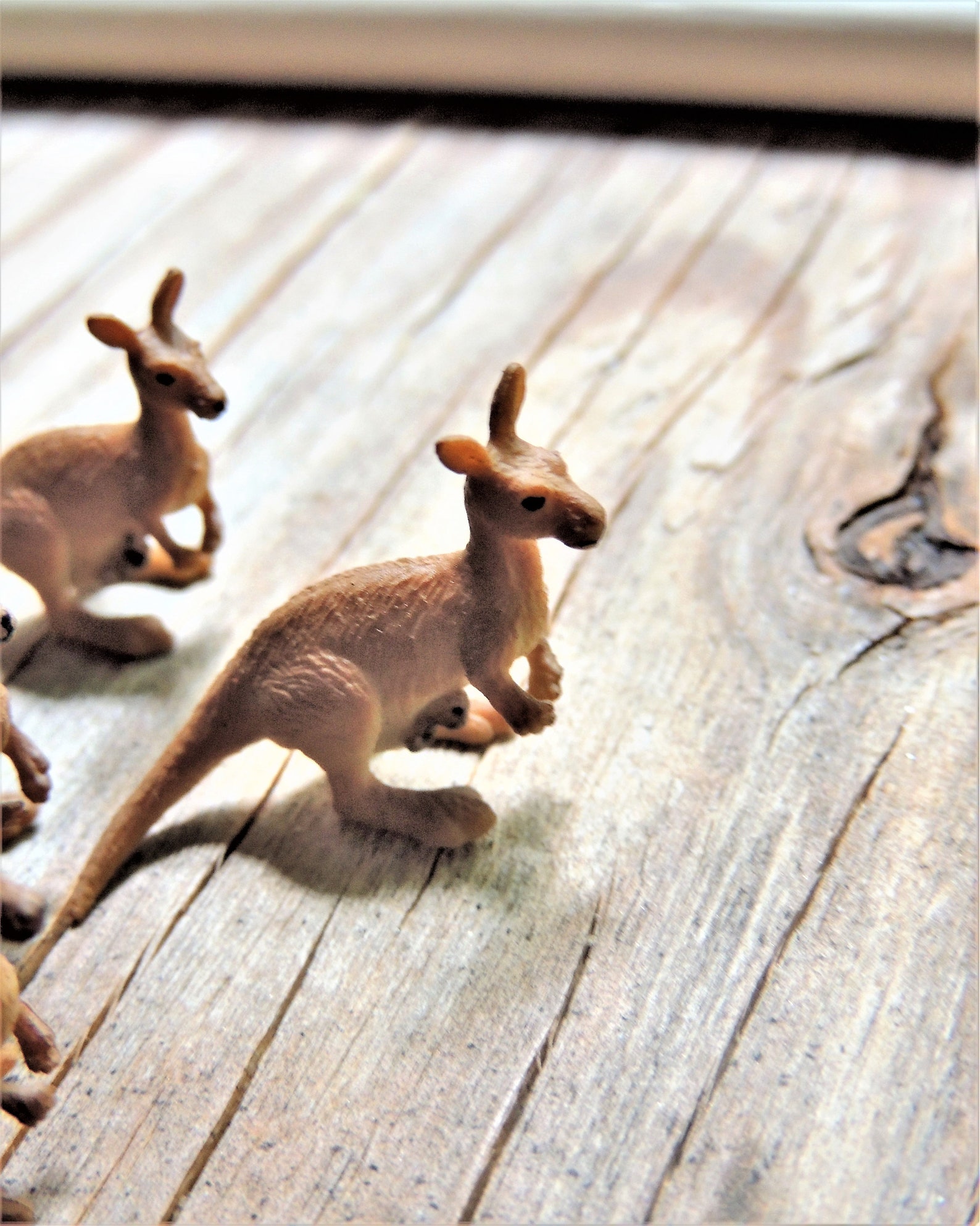 Set of MINIATURE Kangaroo Animals Figurine Figures Fairy - Etsy
