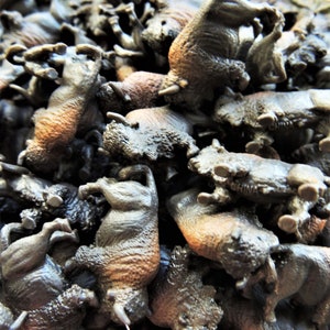 Set of Tiny MINIATURE Bison Animal Mini Figurines Figures Dollhouse ...