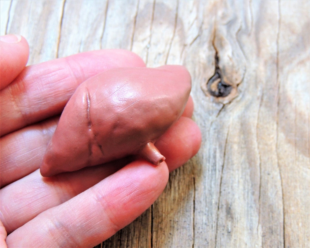 Human ANATOMY ORGAN MINIATURES Liver Figurine Figure Montessori ...