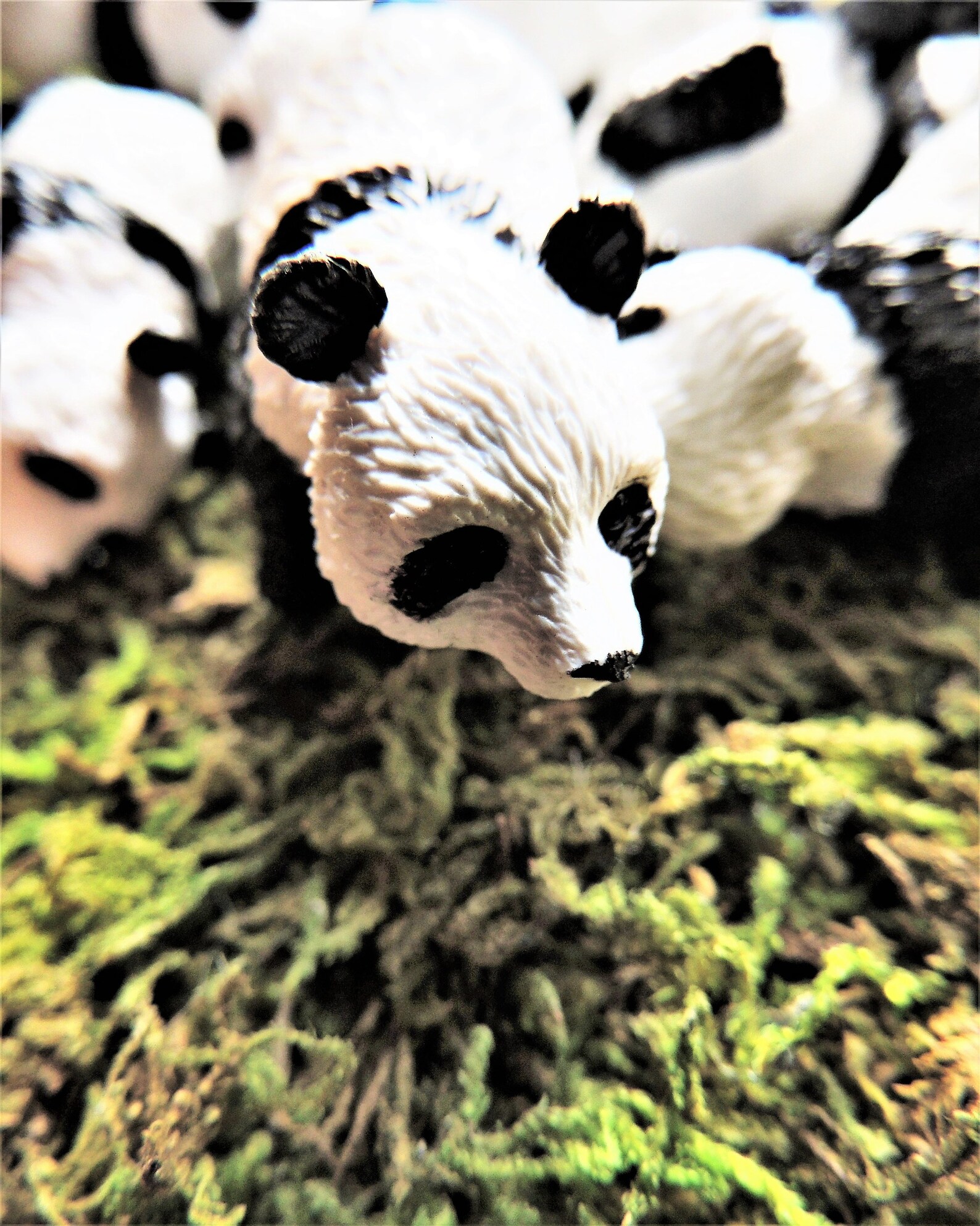 MINIATURE PANDA Bear Animal Figure Figurine Dollhouse Diorama Terrarium ...