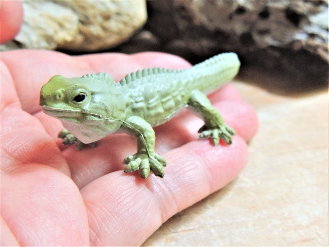 MINIATURE Animals Figurine Figures TUATARA Reptile Fairy Garden ...