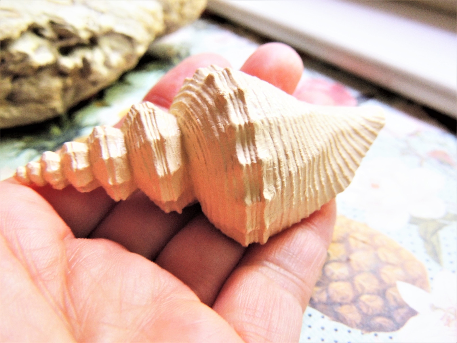 MINIATURE TURBAN SEASHELL Figures Figurines Diorama Terrarium | Etsy