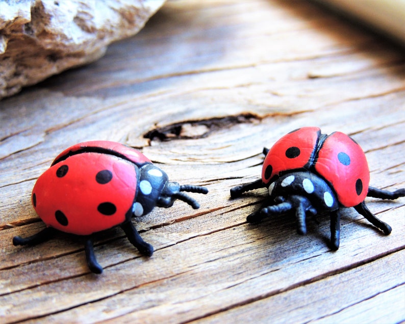 MINIATURE LADYBUG Animals Insect Figures Figurine Fairy Garden - Etsy ...