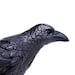 Large MINIATURE RAVEN Bird Crow Animals Figure Figurine Dollhouse Fairy ...