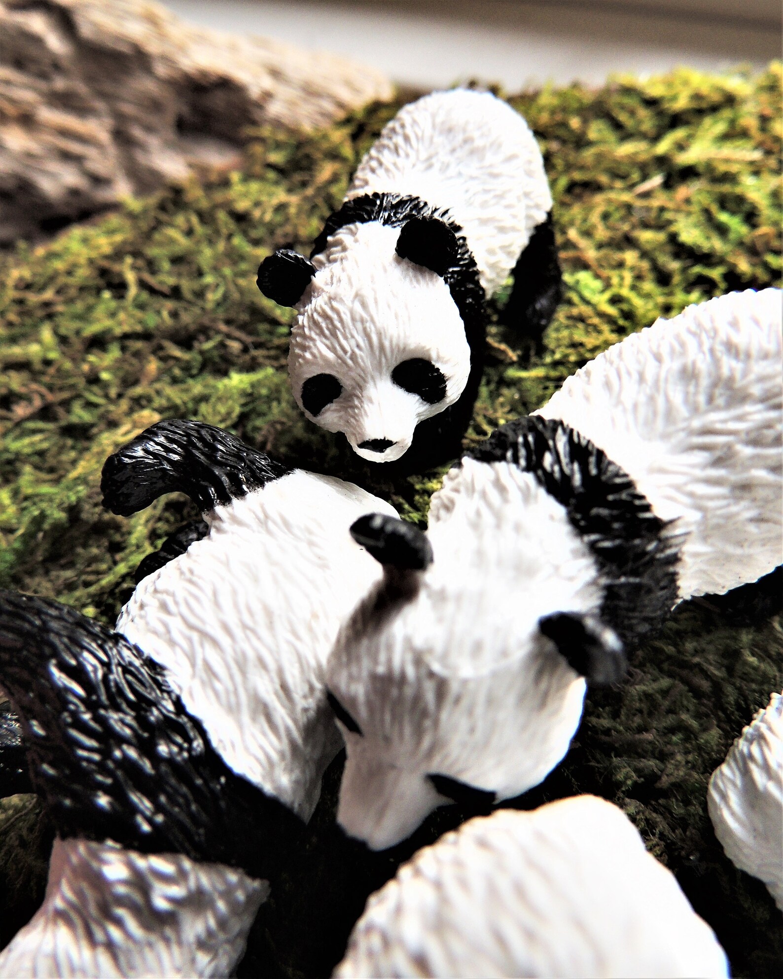 MINIATURE PANDA Bear Animal Figure Figurine Dollhouse Diorama Terrarium ...