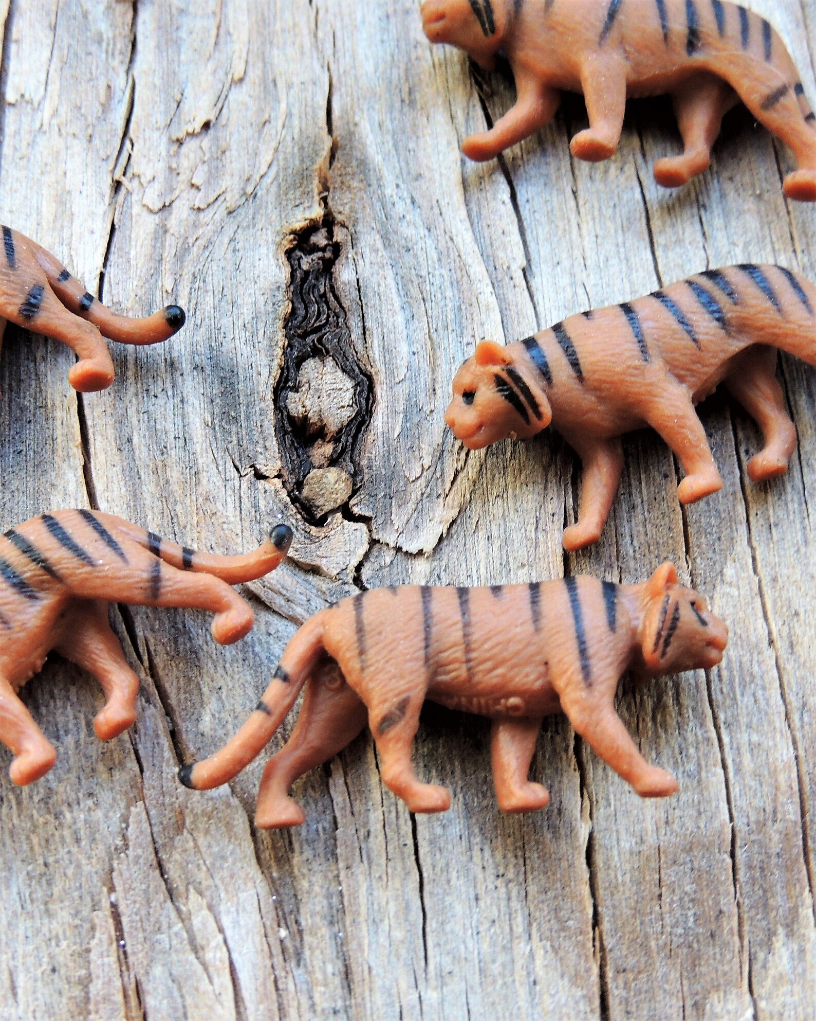 MINIATURE TIGER ANIMALS Micro Mini Safari Zoo Figure Dollhouse | Etsy