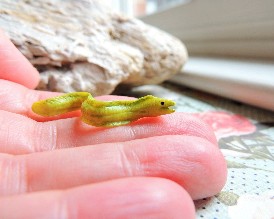 Cute Tiny MINIATURE Moray Eel Animals Figure Figurines Fairy Garden ...