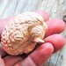 Human ANATOMY ORGAN MINIATURES Brain Figure Figurines Montessori ...