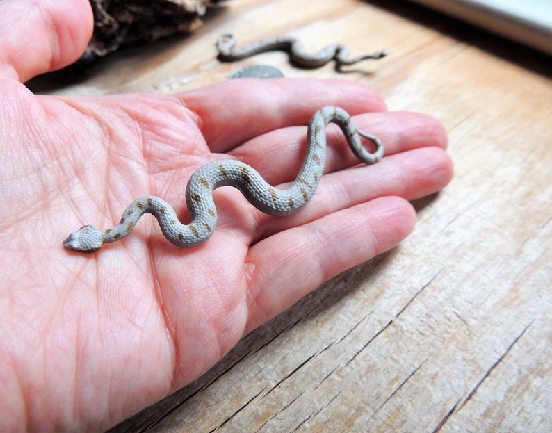 SNAKE MINIATURE Horned Viper Animal Figurine Terrarium Dollhouse Fairy ...