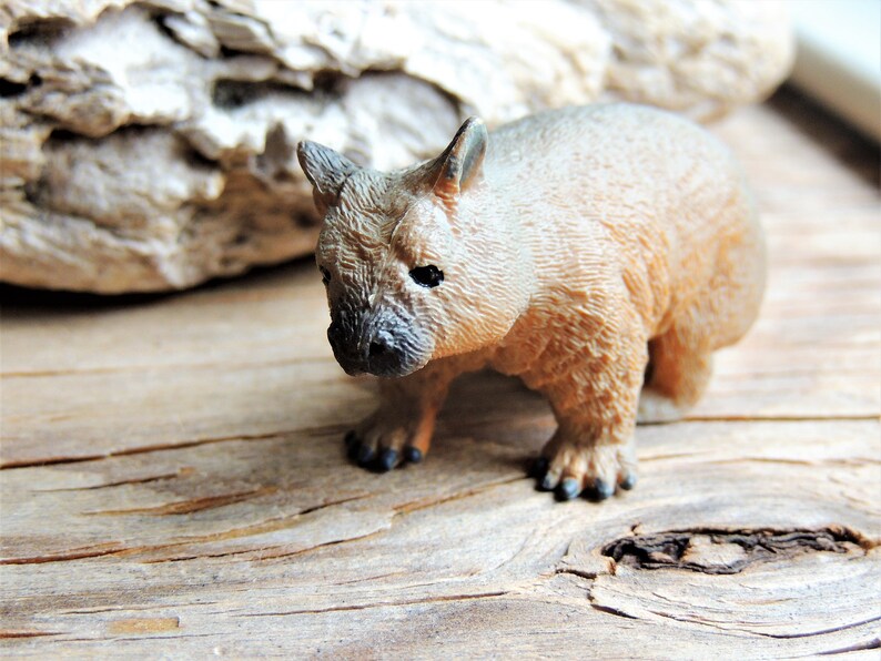 Large MINIATURE WOMBAT Animals Figures Figurines Dollhouse - Etsy