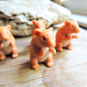 HAMSTER MINIATURE ANIMAL Figures Figurine Dollhouse Terrarium Fairy ...