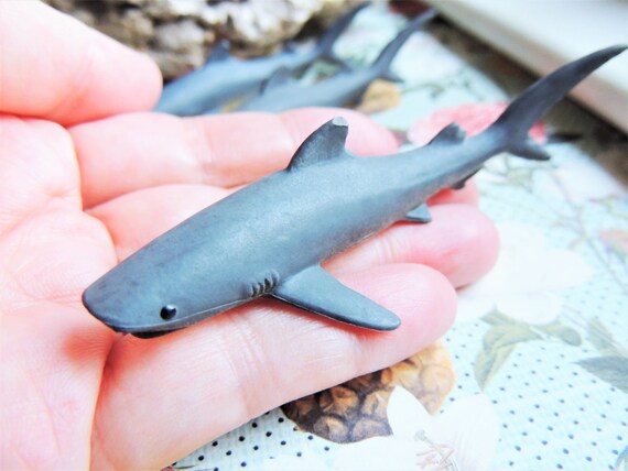 Pet Mini Shark