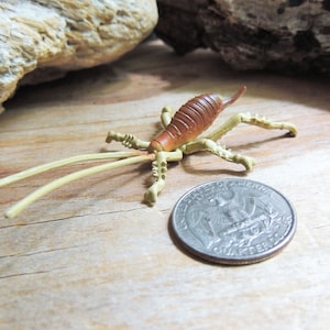 GIANT WETA MINIATURE Animals Figurine Figures Bug Fairy Garden ...