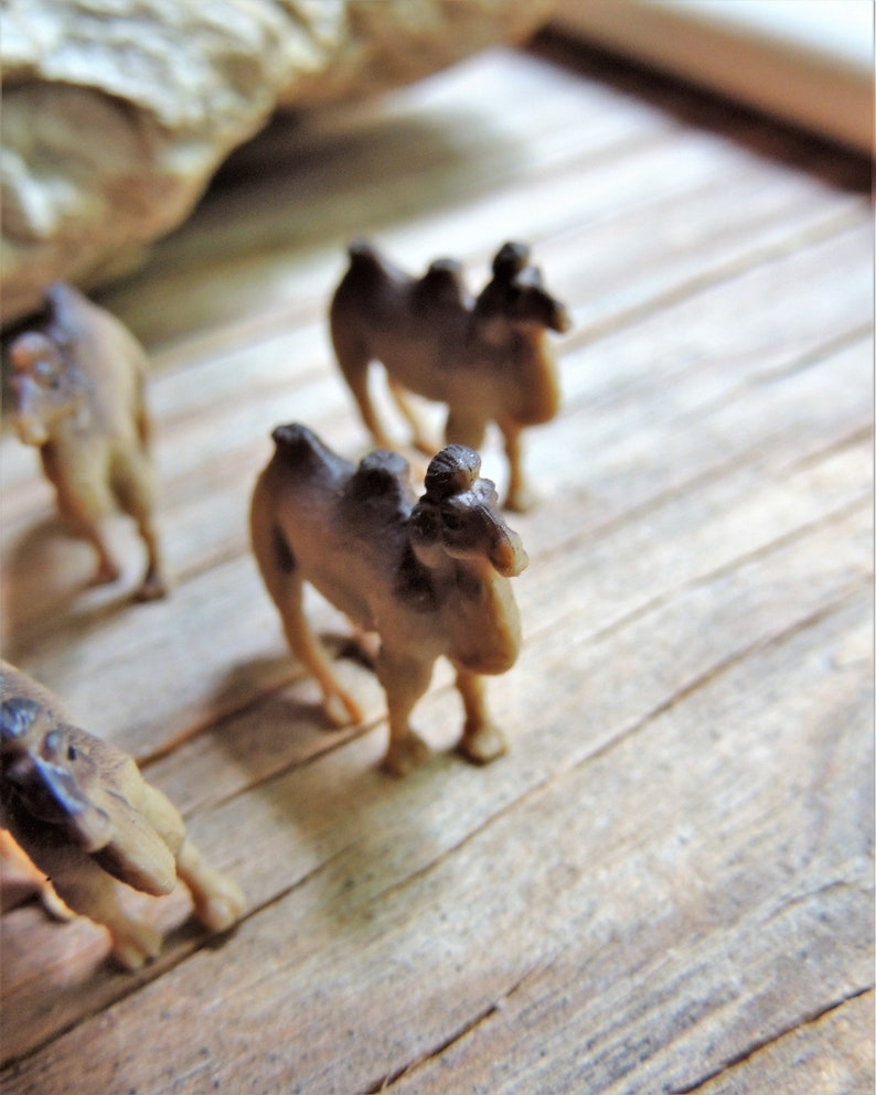 Set of MINIATURE BACTRIAN CAMEL Micro Mini Fairy Garden | Etsy