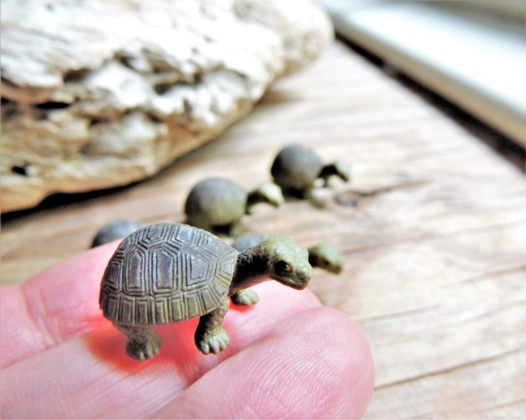 MINIATURE TORTOISE Turtle Miniature Animals Cute Tiny Mini Soft Fairy ...