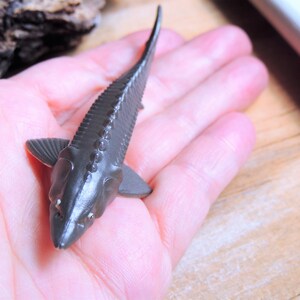 Miniature LAKE STURGEON FISH Animal Figure Figurine Dollhouse Diorama ...